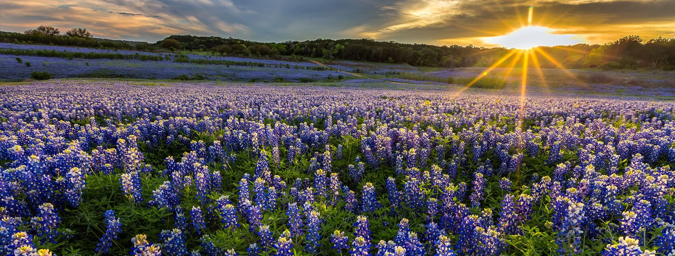 Explore Robinson: Deep in the Heart of Texas